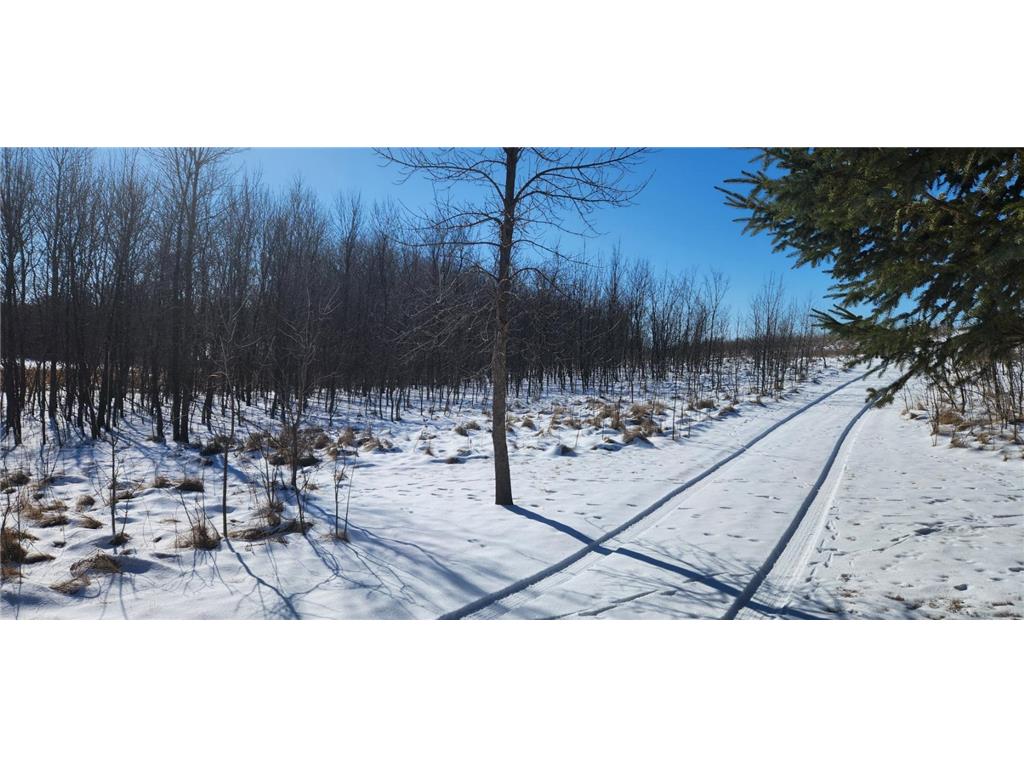 6757 164th Street SE, Lake Elizabeth Twp, MN, 56209 | MLS: 6678039 ...