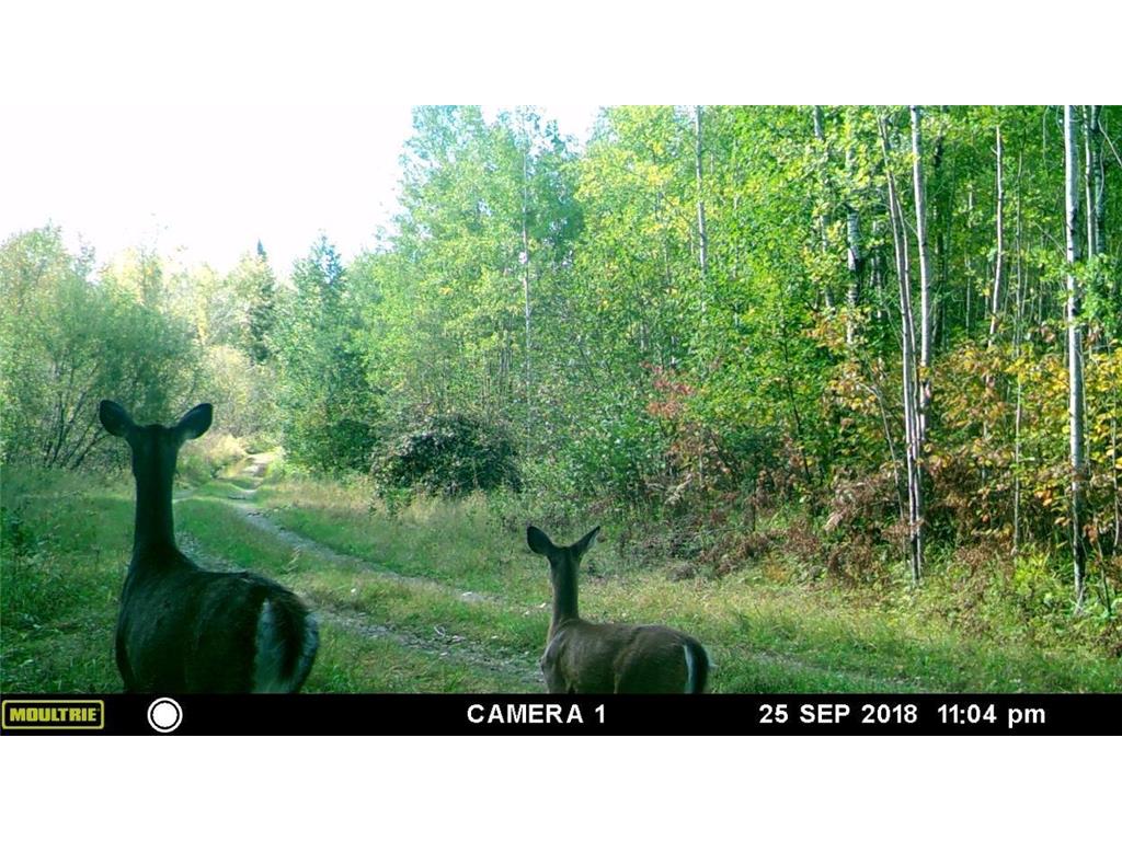 6930 Northeast Road, Wright, MN, 55798 | MLS: 6646392 | Edina Realty