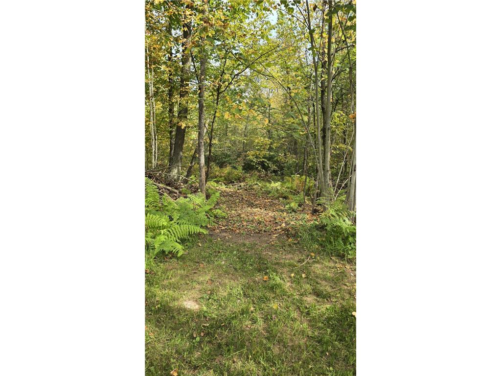 73717 Markville Road, Markville, MN, 55072 | MLS: 6797812 | Edina Realty