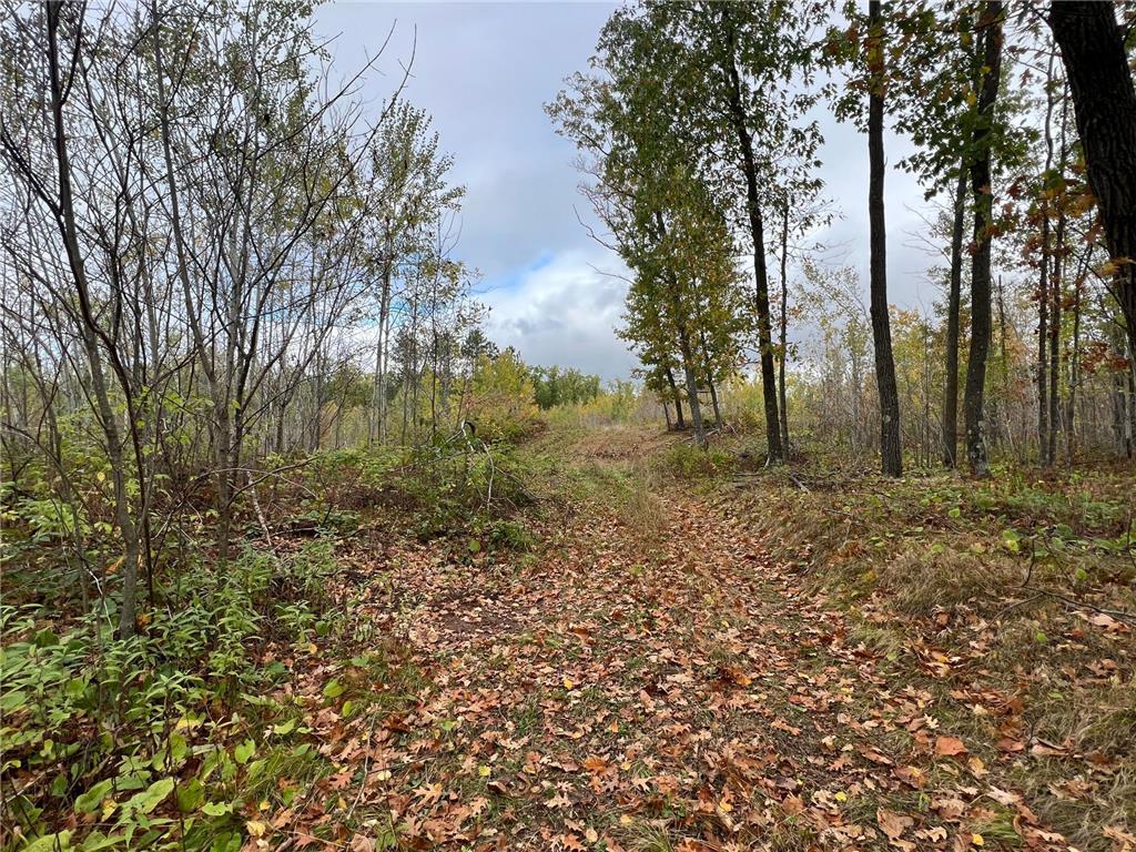 73843 Markville, Arna Twp, MN, 55072 | MLS: 6475096 | Edina Realty