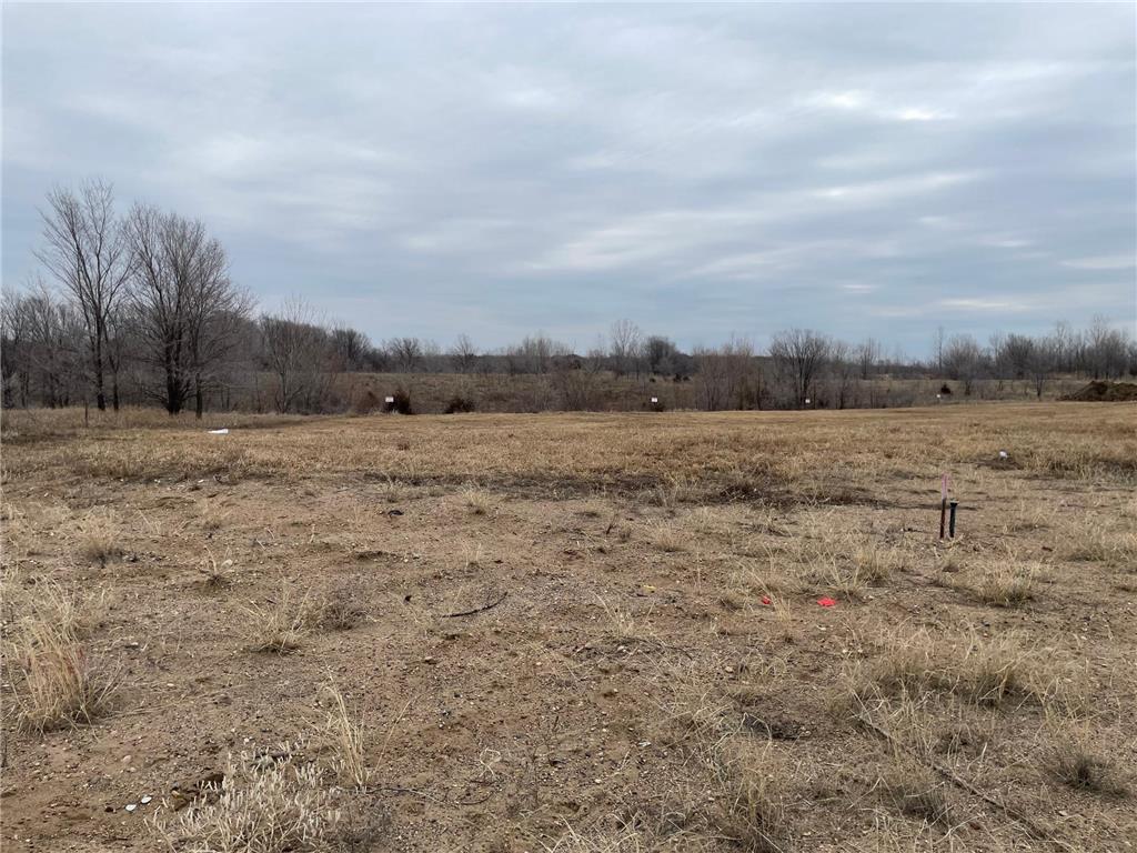 7803 Gunner Drive, Clear Lake, MN, 55319 | MLS: 6199501 | Edina Realty