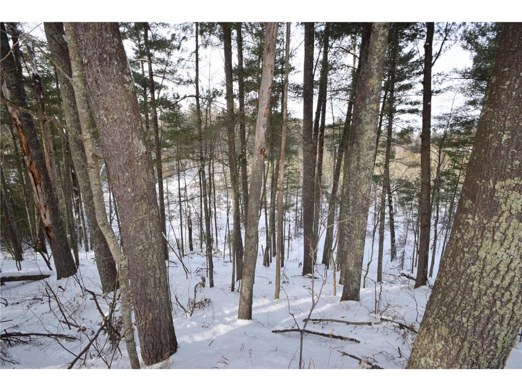 7836 County Road U, Danbury, WI, 54830 | MLS: 6671411 | Edina Realty