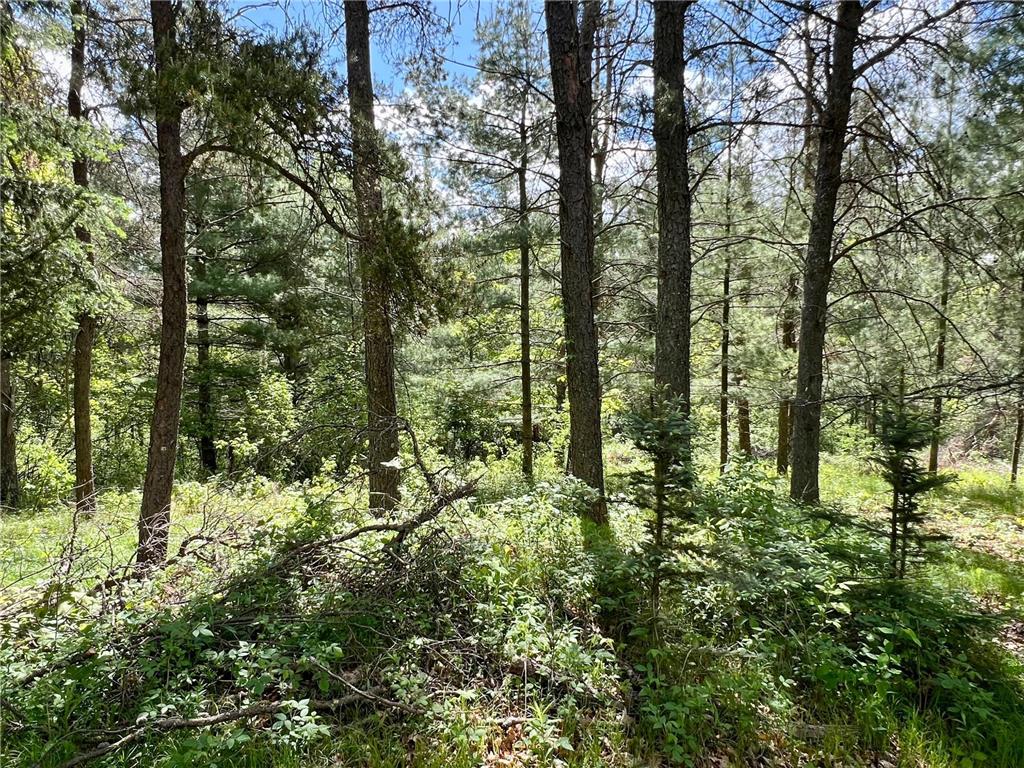 79596 River Run Road, Kettle River Twp, MN, 55795 | MLS: 6548905 ...