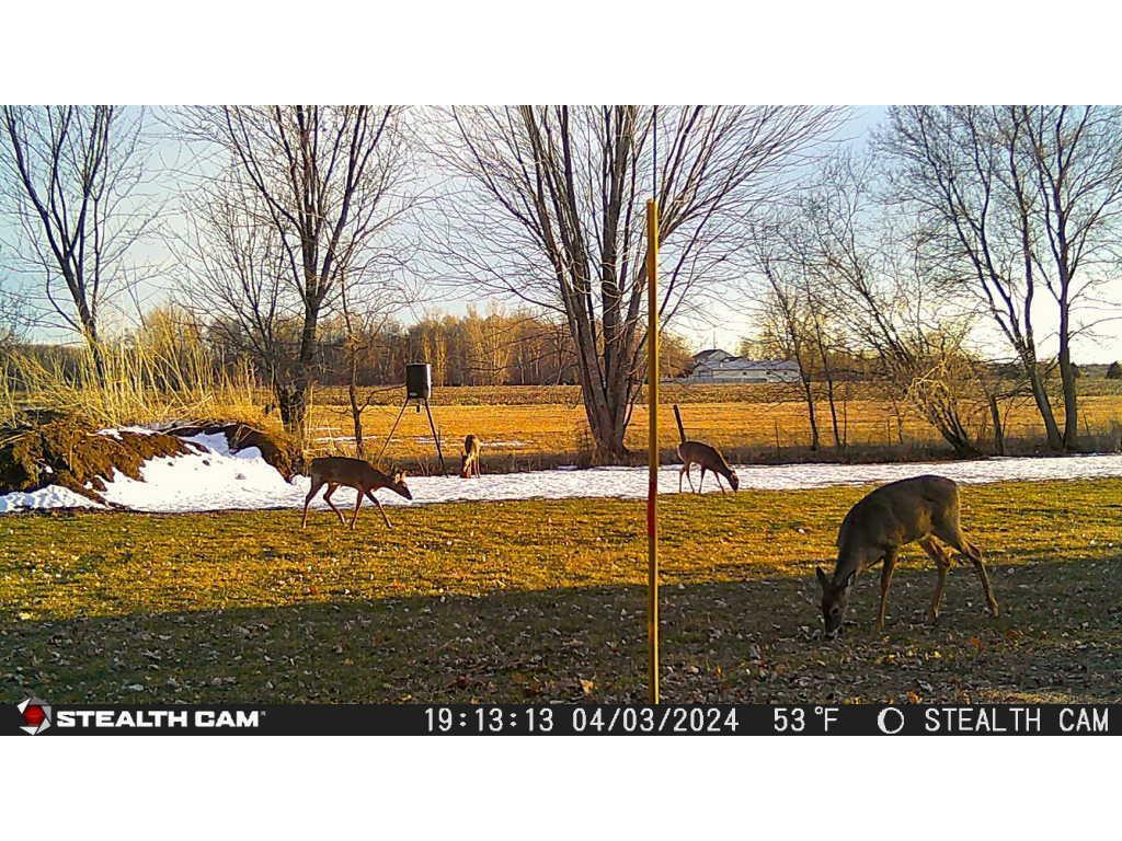 8614 211th Avenue NW, Nowthen, MN, 55330 | MLS: 6639784 | Edina Realty