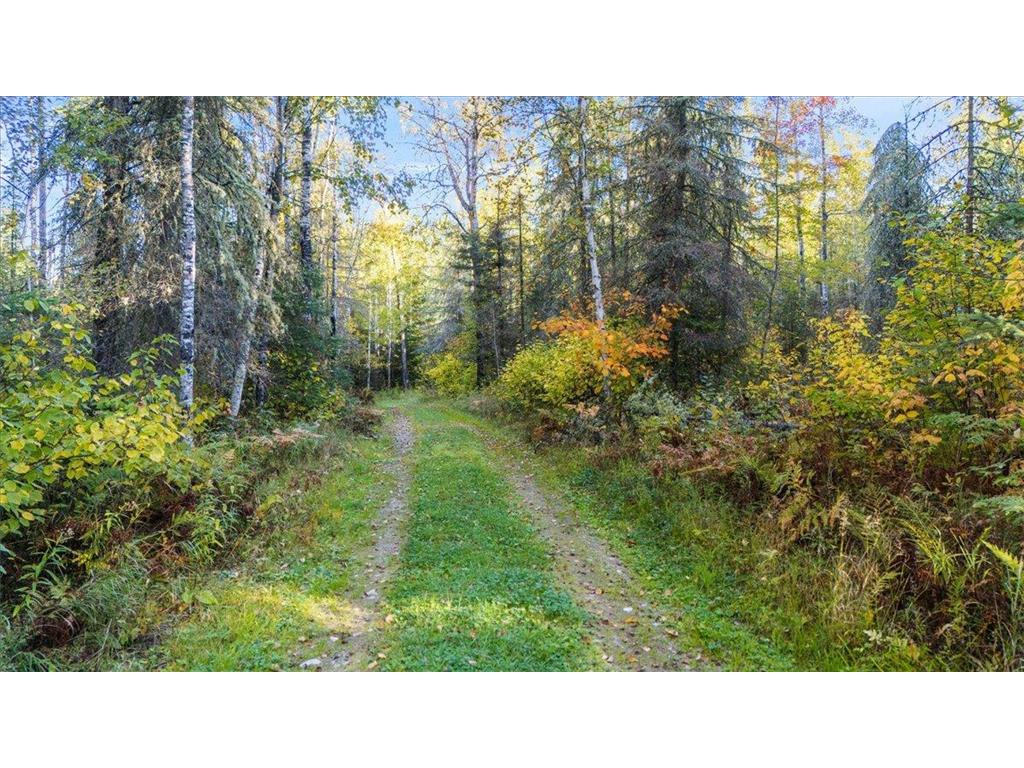 867 Big Timber Trail, Fall Lake Twp, MN, 55731 | MLS: 6615741 | Edina ...