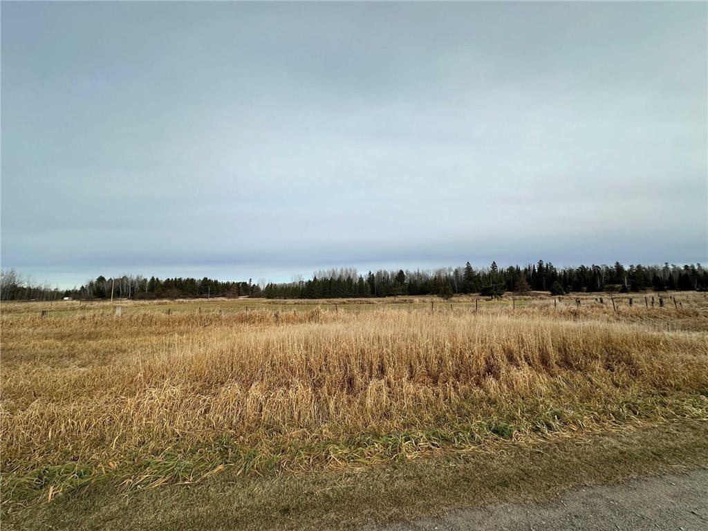 8874 Highway 25, Alango Twp, MN, 55703 | MLS: 6715574 | Edina Realty