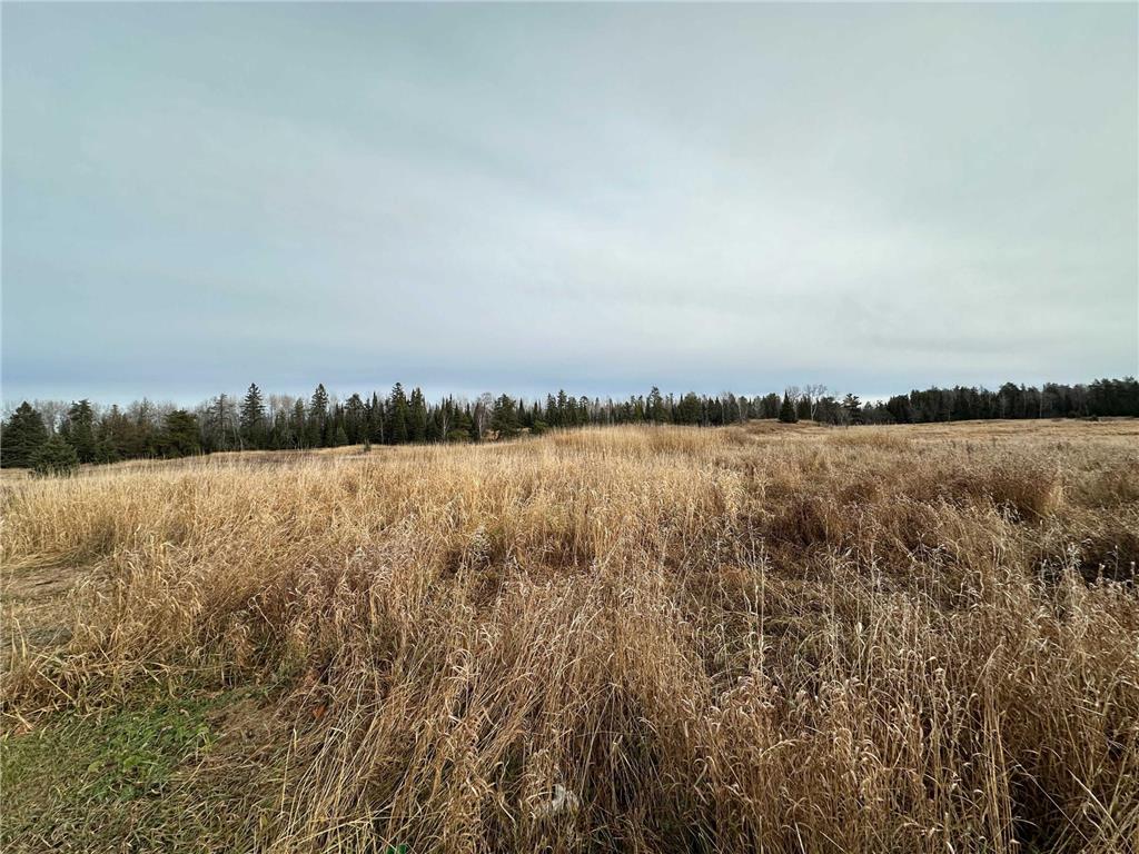 8874 Highway 25, Alango Twp, MN, 55703 | MLS: 6715574 | Edina Realty