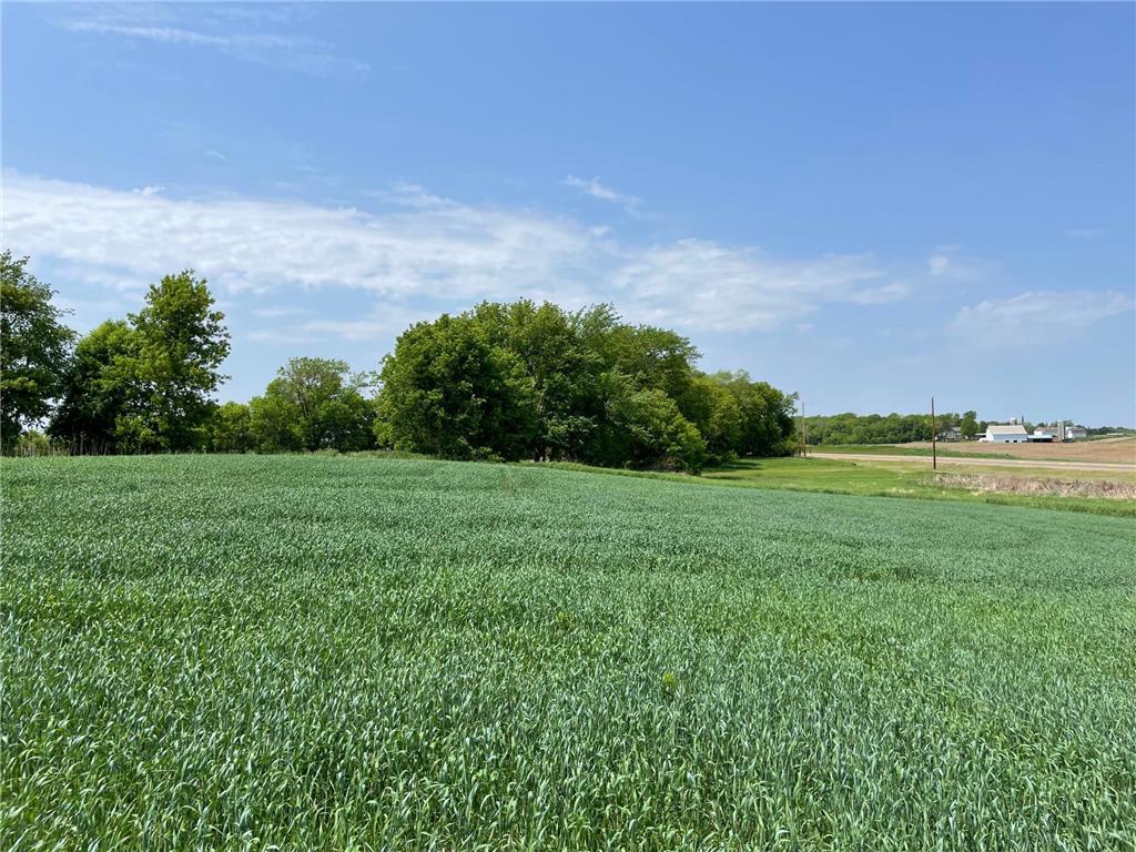 9015 Grace Lane N, Greenfield, MN, 55357 | MLS: 6551951 | Edina Realty