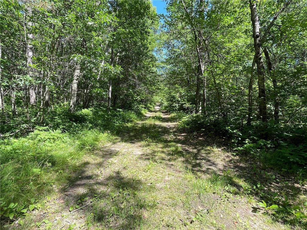 951 Swede Lake Trail SW, Backus, MN, 56435 | MLS: 6744101 | Edina Realty