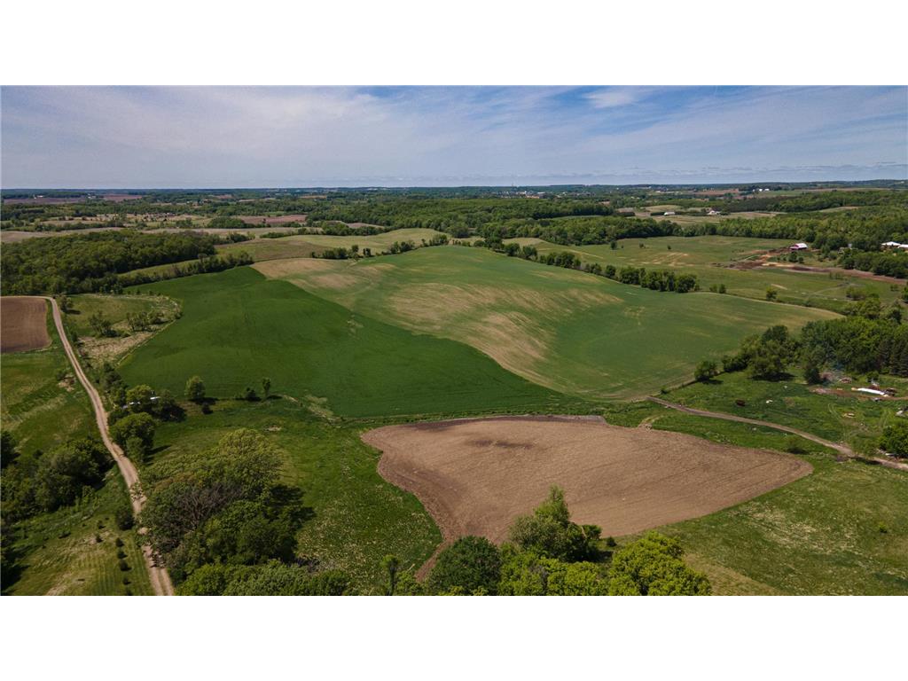 9XXX Elmore Ave, Forest Twp, MN, 55046 | MLS: 6721468 | Edina Realty