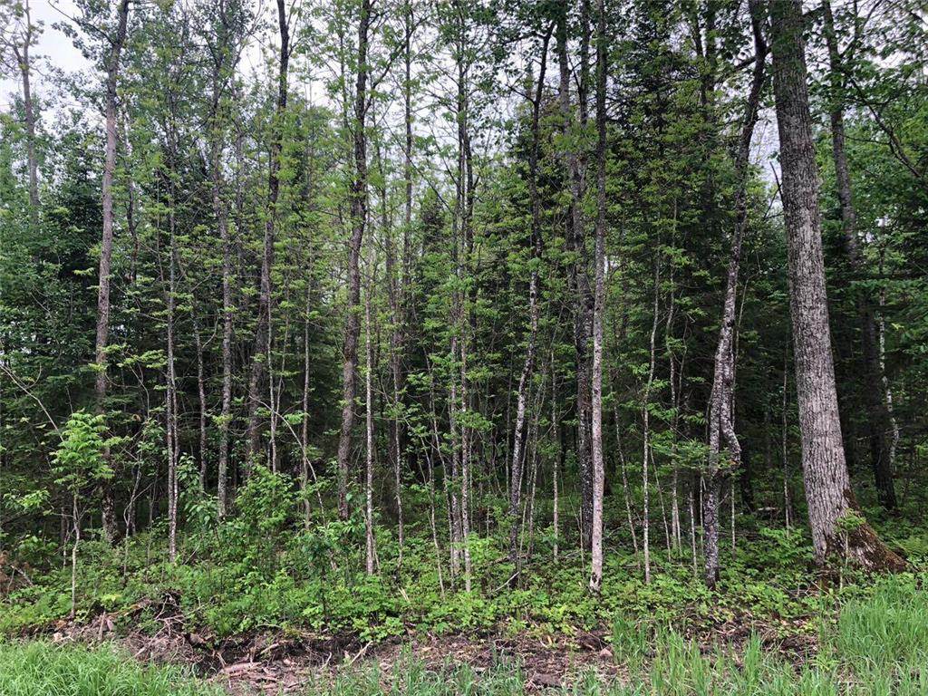 9a Hines Road NE, Hines, MN, 56647 | MLS: 6747655 | Edina Realty