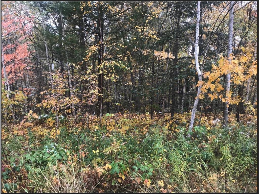 Lot 113 162nd Avenue, Apple River Twp, WI, 54810 | MLS: 6580567 | Edina ...