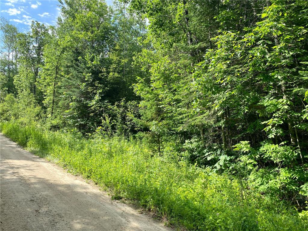 Lot 18 Natures Trail, Federal Dam, MN, 56641 | MLS: 6563902 | Edina Realty
