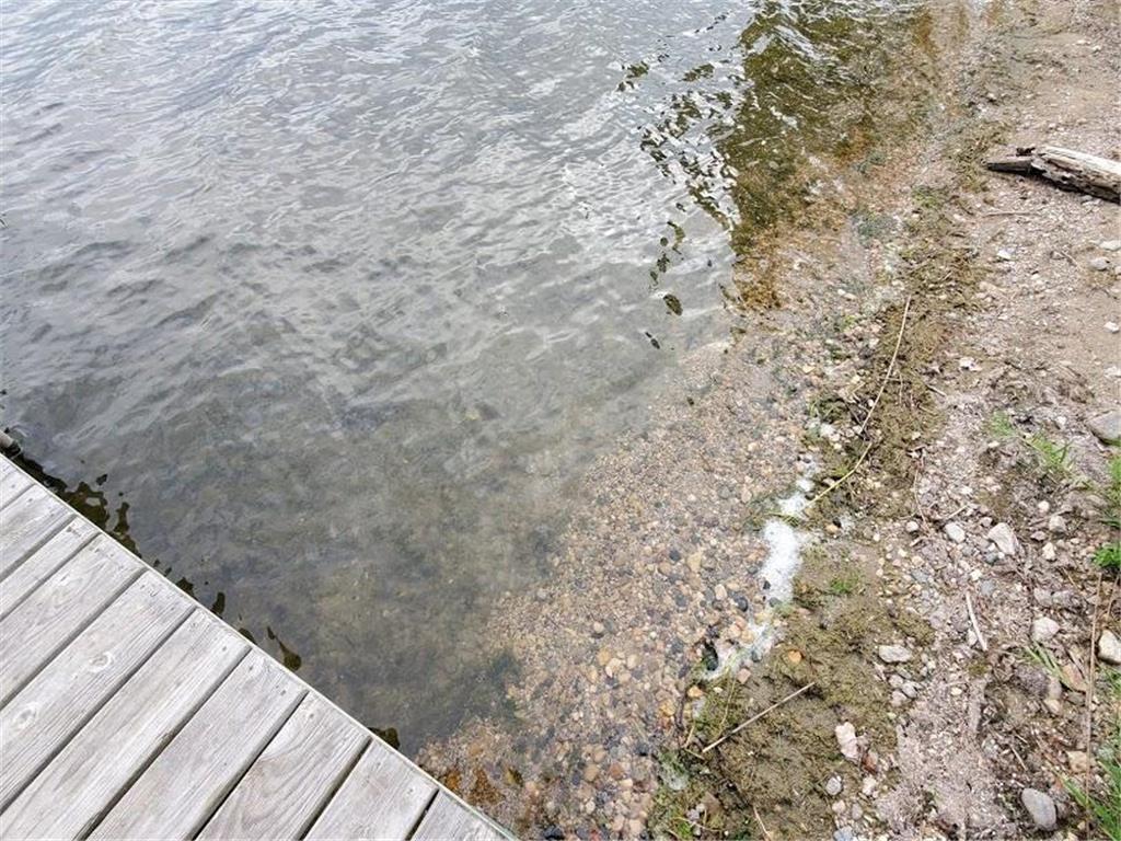 Lot 2 Devils Lake Road NW, Brandon, MN, 56315 | MLS: 6658257 | Edina Realty