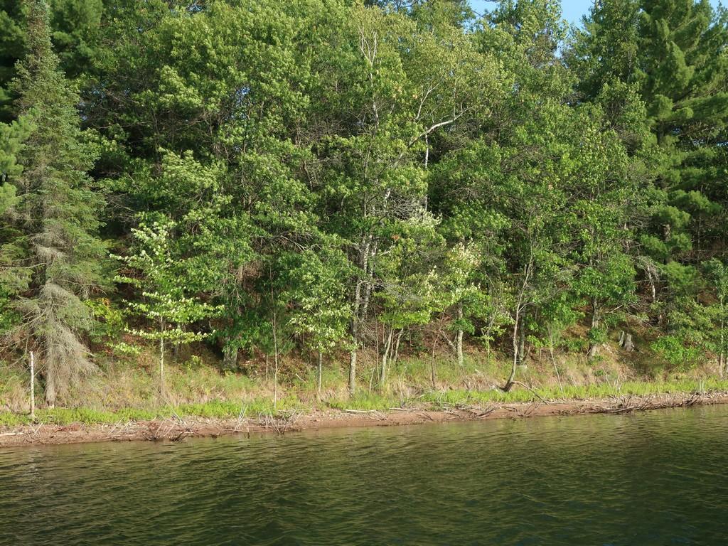 Lot 3 County Rd C, Danbury, WI, 54830 | MLS: 6423473 | Edina Realty