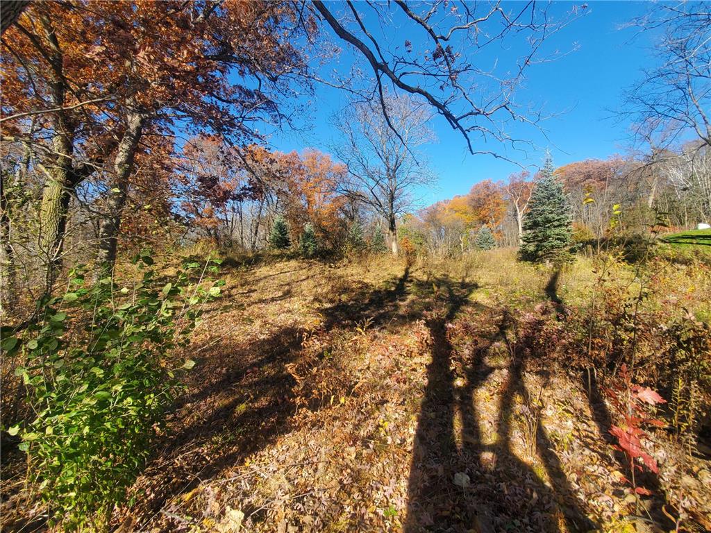 Lot 3 E Cedar Lake Ct, Alden Twp, WI, 54026 | MLS: 6812750 | Edina Realty