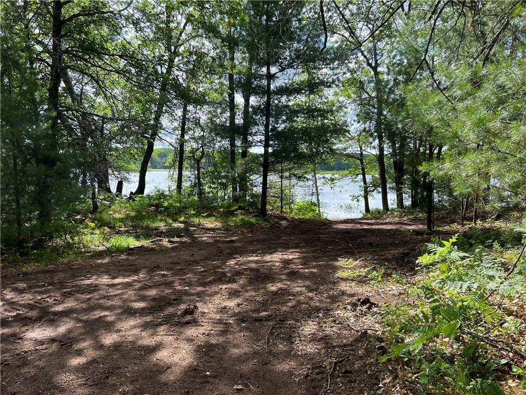 Lot 6 Buck Lake Road, Sand Lake Twp, WI, 54893 | MLS: 6538208 | Edina ...