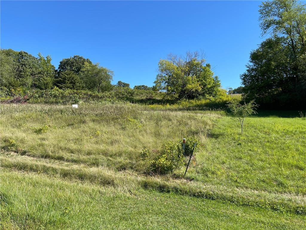 Lot 8 754th Ave, Clifton Twp, WI, 54022 | MLS: 6255746 | Edina Realty