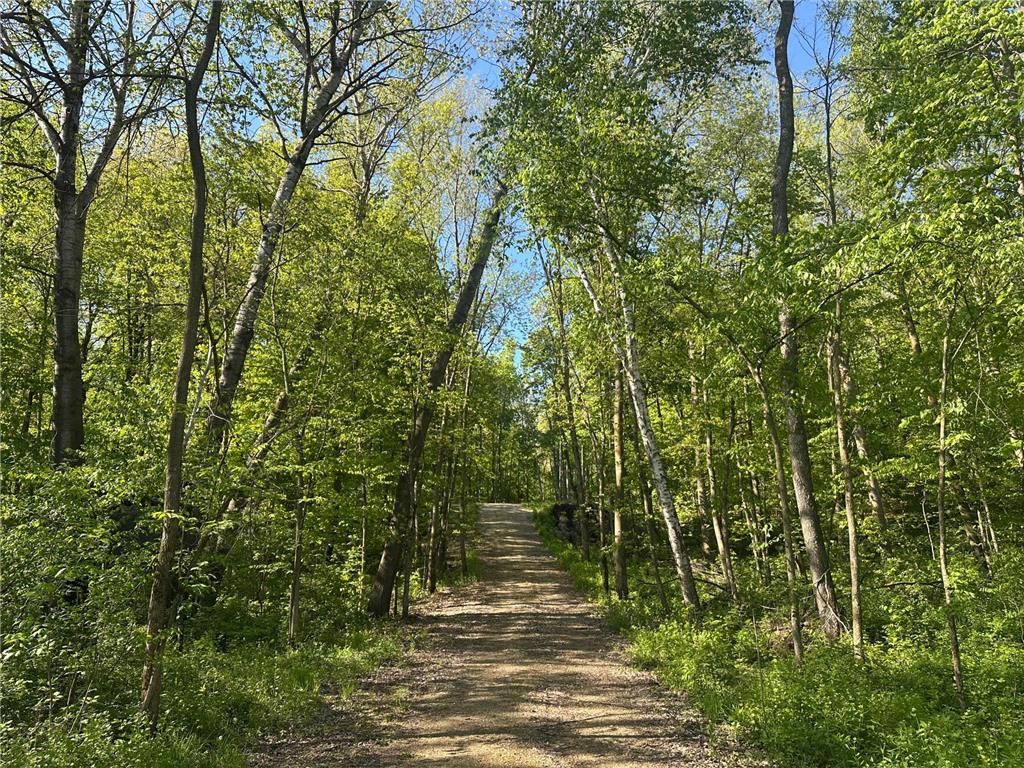 N8657 690th Street, Martell Twp, WI, 54022 | MLS: 6728580 | Edina Realty