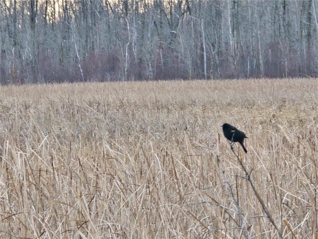 Outlots 1-9 County Road 26, Garrison, MN, 56450 | MLS: 6697617 | Edina ...