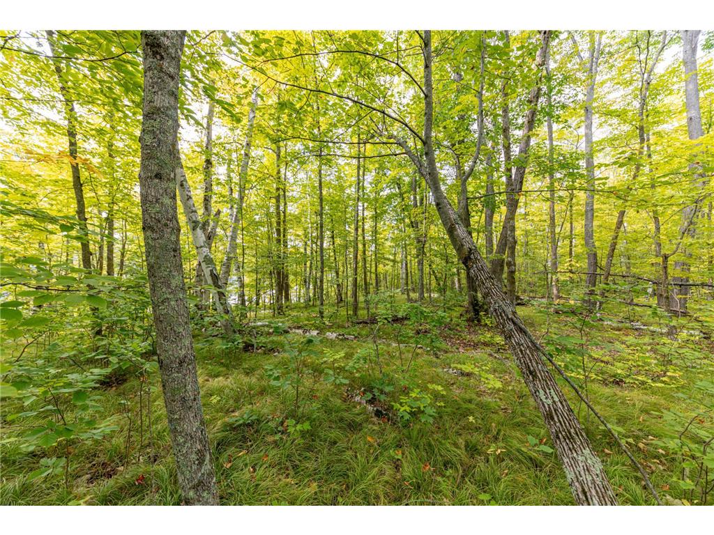 Parcel 1 N Little Thunder Drive NE, Remer, MN, 56672 | MLS: 6445512 ...