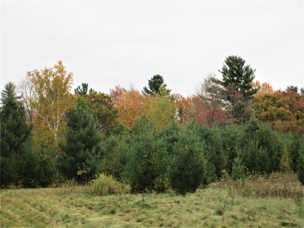 Parcel 2 90th Street, Frederic, WI, 54837 | MLS: 6805889 | Edina Realty