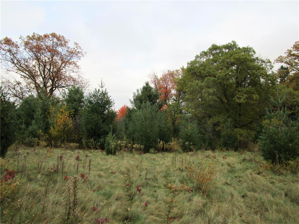 Parcel 2 90th Street, Frederic, WI, 54837 | MLS: 6805889 | Edina Realty
