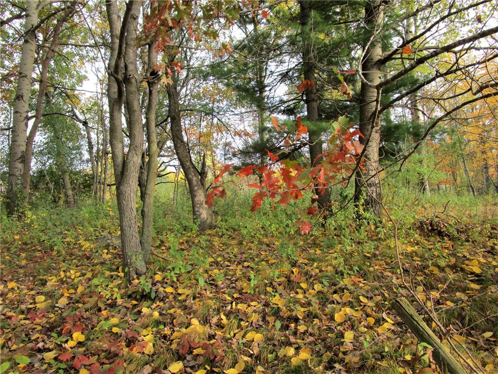 Parcel 2 90th Street, Frederic, WI, 54837 | MLS: 6805889 | Edina Realty