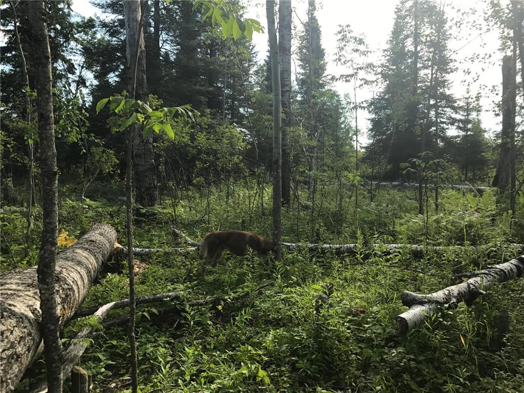 Sec: 2 TWP: 61.0 RG: 19 Lot: BLK: AC, Alango Twp, MN, 55703 | MLS ...