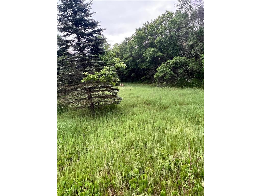 TBD 174th Street NW, Orrock Twp, MN, 55309 | MLS: 6723368 | Edina Realty