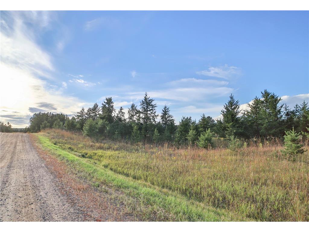 TBD 1st Ave, Breezy Point, MN, 56472 | MLS: 6594517 | Edina Realty