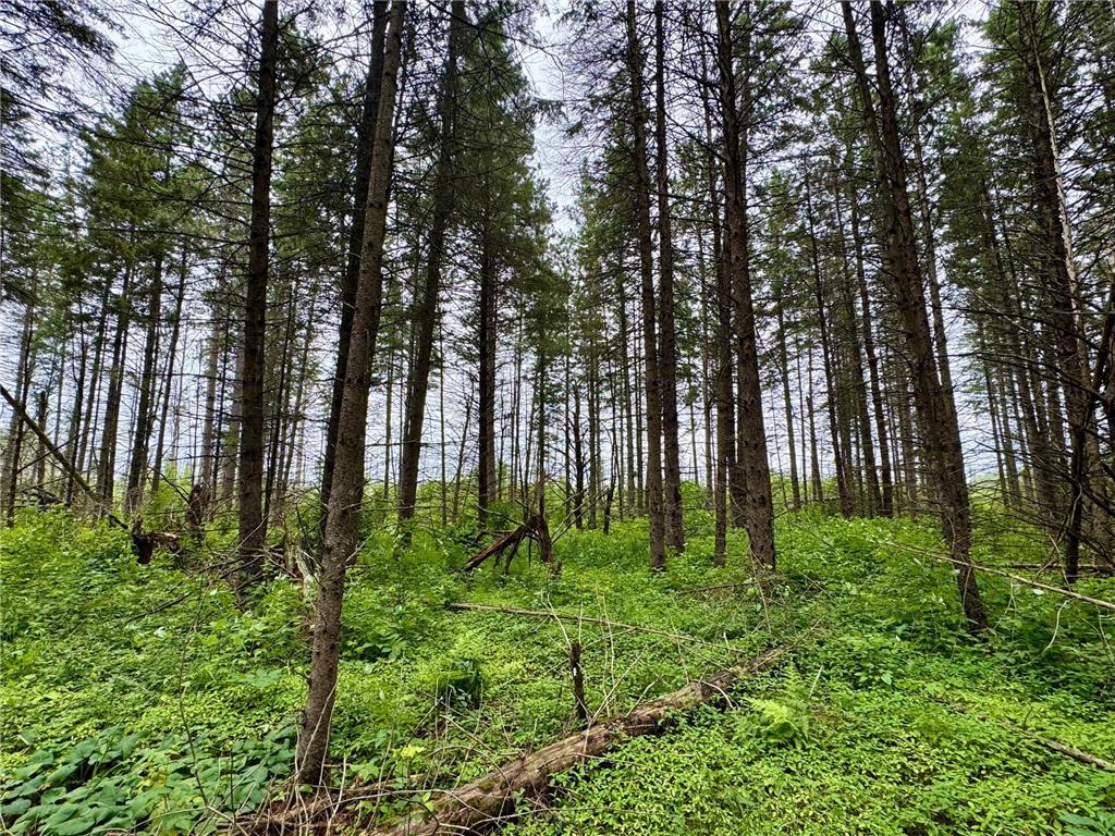 TBD 20th St. SW 20 St. SW, Bull Moose Twp, MN, 56474 | MLS: 6757775 ...