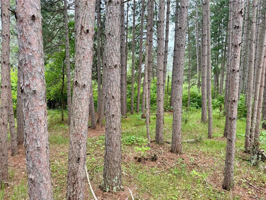 TBD 20th St. SW 20 St. SW, Bull Moose Twp, MN, 56474 | MLS: 6757775 ...