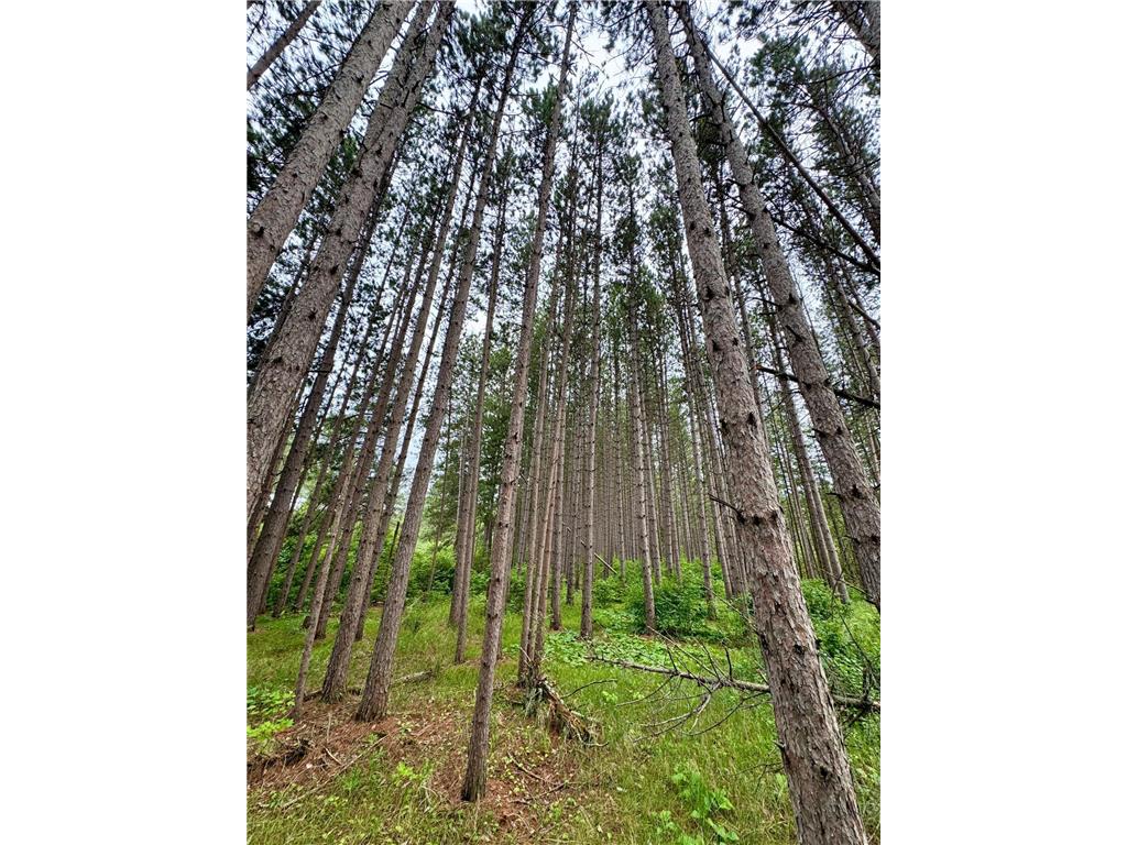 TBD 20th St. SW 20 St. SW, Bull Moose Twp, MN, 56474 | MLS: 6757775 ...