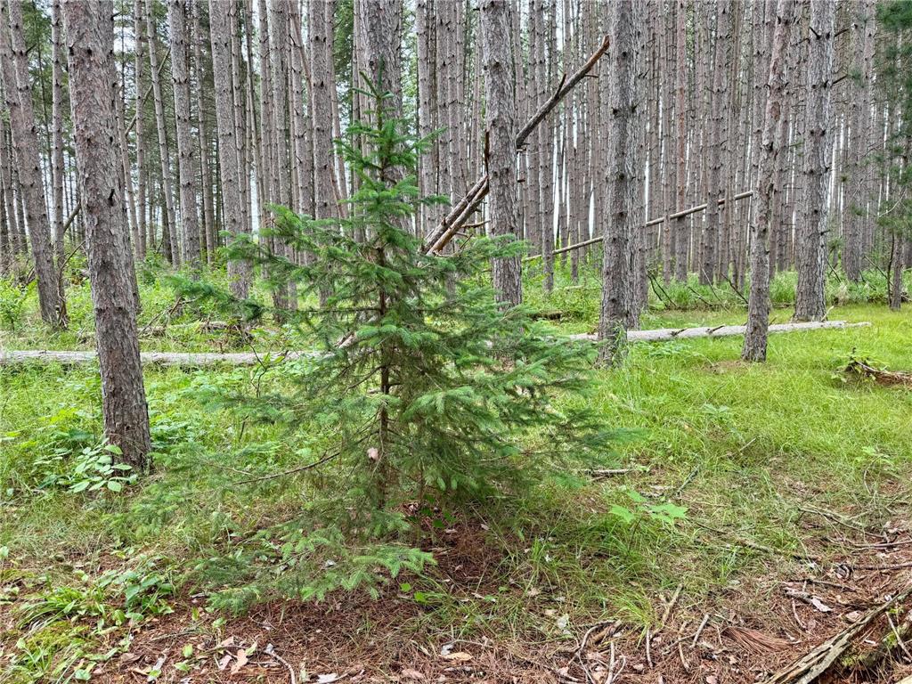 TBD 20th St. SW 20 St. SW, Bull Moose Twp, MN, 56474 | MLS: 6757775 ...