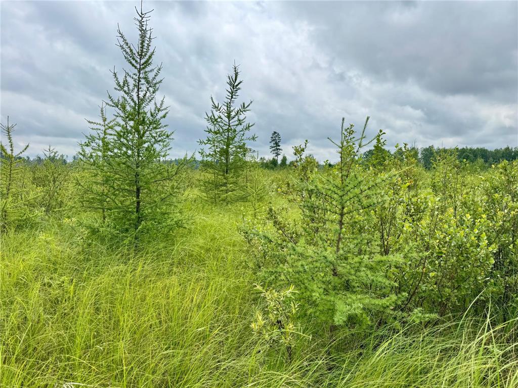 TBD 20th St. SW 20 St. SW, Bull Moose Twp, MN, 56474 | MLS: 6757775 ...
