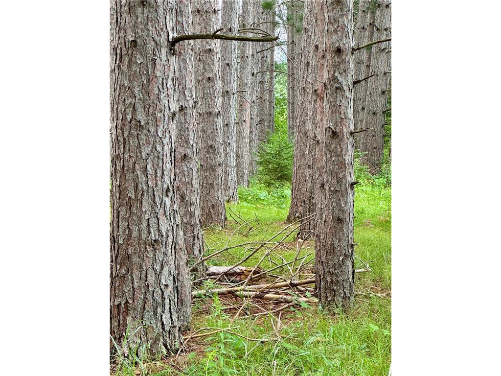 TBD 20th St. SW 20 St. SW, Bull Moose Twp, MN, 56474 | MLS: 6757775 ...