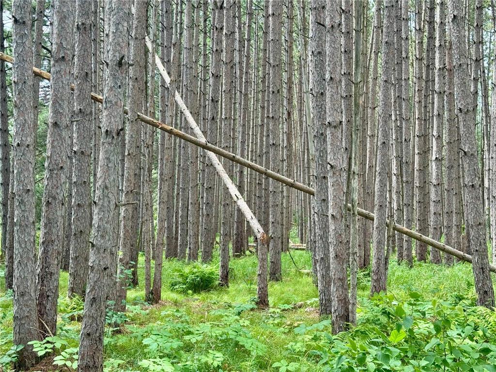 TBD 20th St. SW 20 St. SW, Bull Moose Twp, MN, 56474 | MLS: 6757775 ...