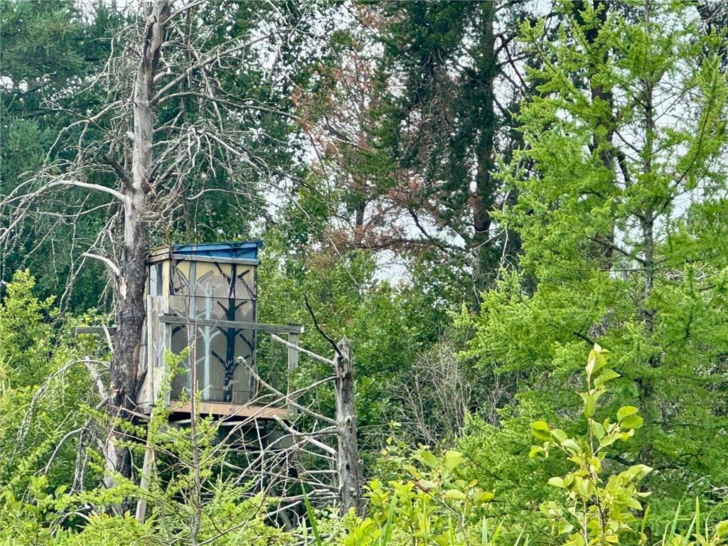 TBD 20th St. SW 20 St. SW, Bull Moose Twp, MN, 56474 | MLS: 6757775 ...
