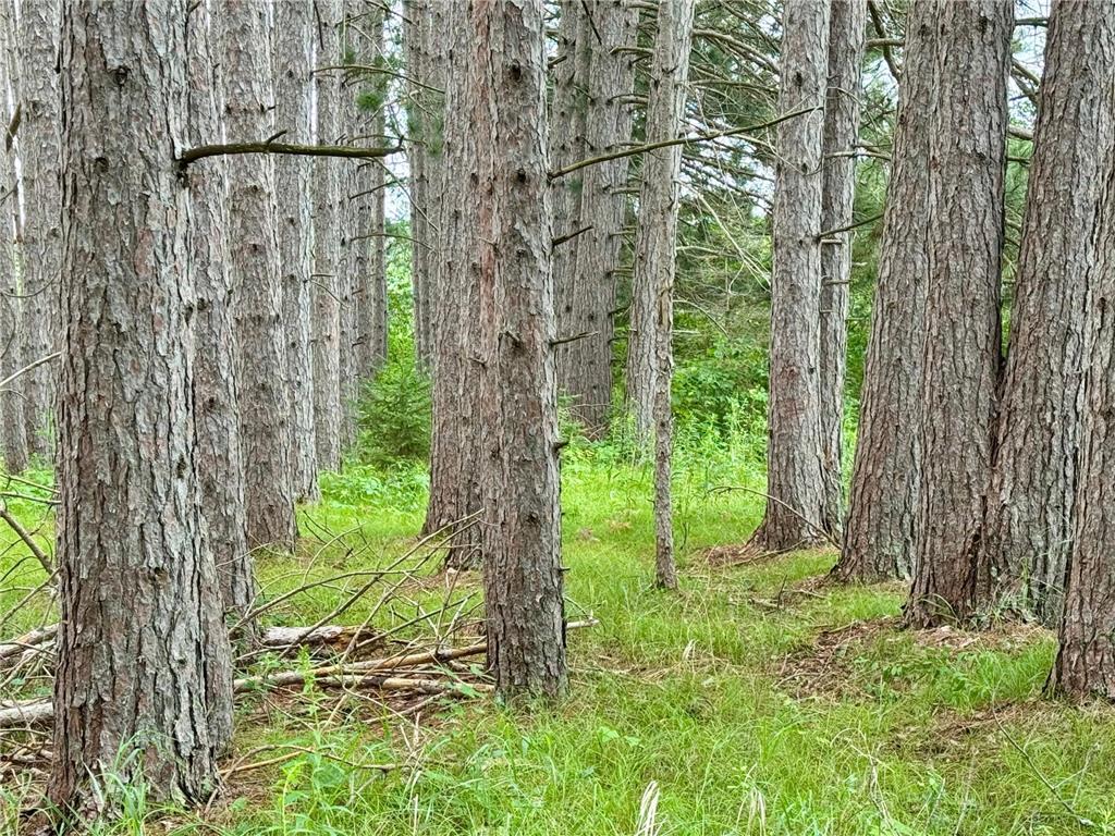 TBD 20th St. SW 20 St. SW, Bull Moose Twp, MN, 56474 | MLS: 6757775 ...