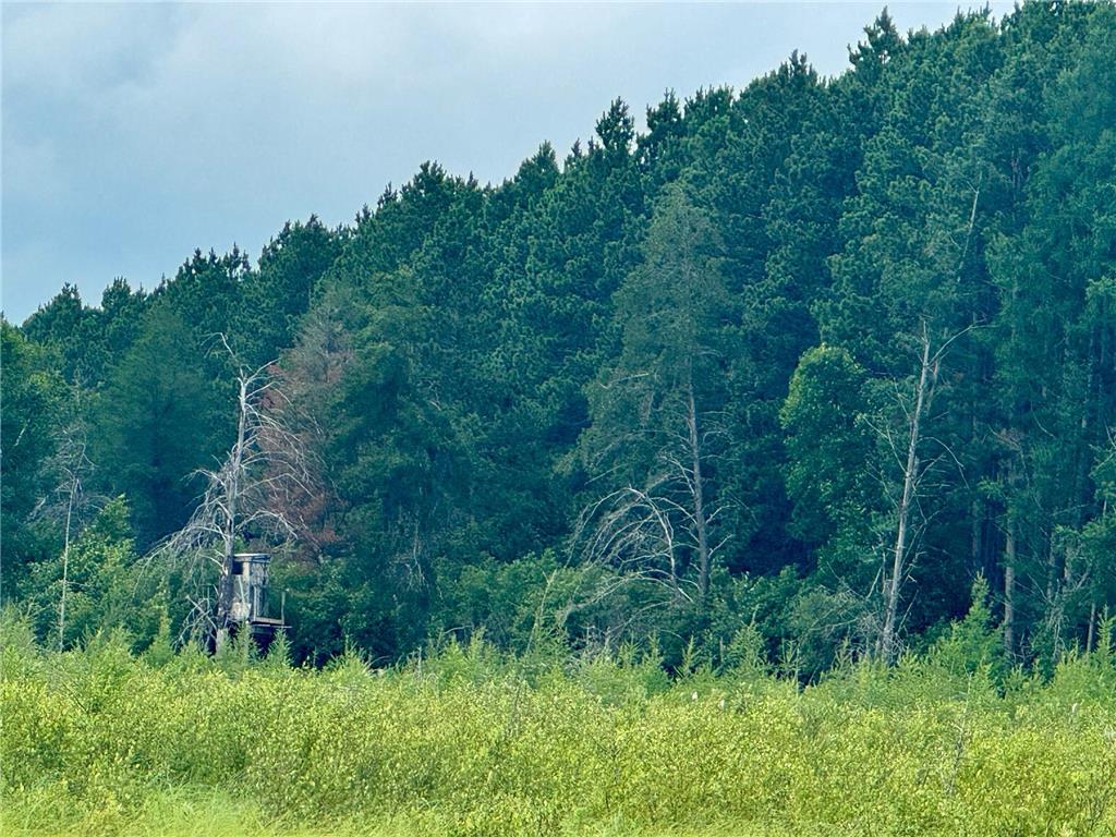 TBD 20th St. SW 20 St. SW, Bull Moose Twp, MN, 56474 | MLS: 6757775 ...