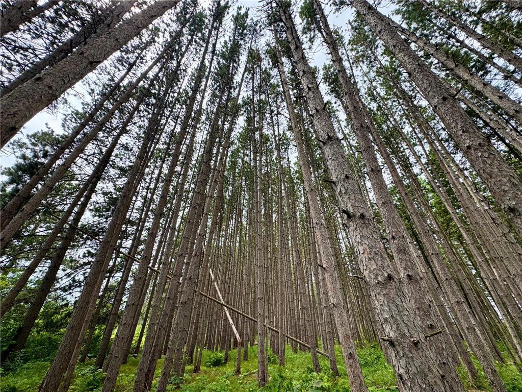 TBD 20th St. SW 20 St. SW, Bull Moose Twp, MN, 56474 | MLS: 6757775 ...