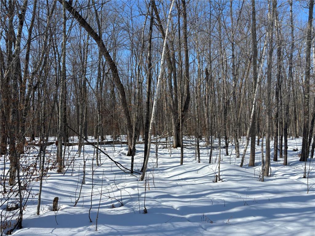 TBD 235th Place, Mcgregor, MN, 55760 | MLS: 7027589 | Edina Realty