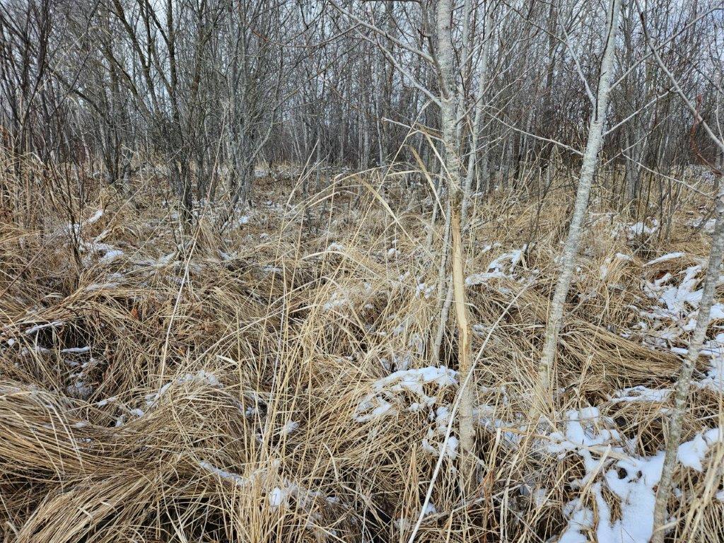 TBD 240th Street, Shevlin, MN, 56676 | MLS: 6508813 | Edina Realty