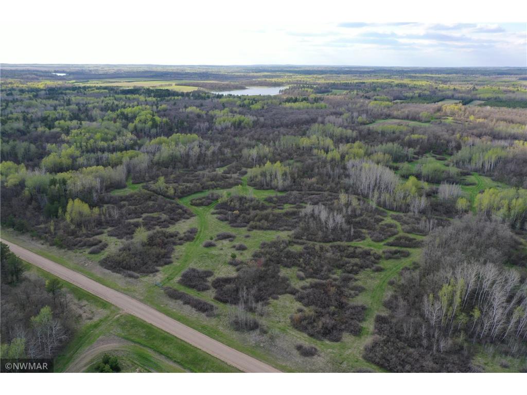 TBD 330th Street, Ponsford, MN, 56575 | MLS: 6167124 | Edina Realty