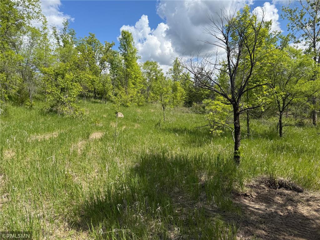 TBD 4th Street NE, Hanover, MN, 55341 | MLS: 6720428 | Edina Realty