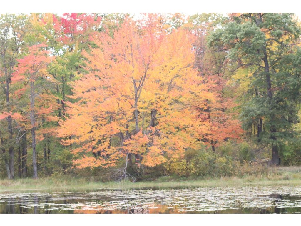 TBD 60th Street SW, Maple Twp, MN, 56472 | MLS: 6748613 | Edina Realty