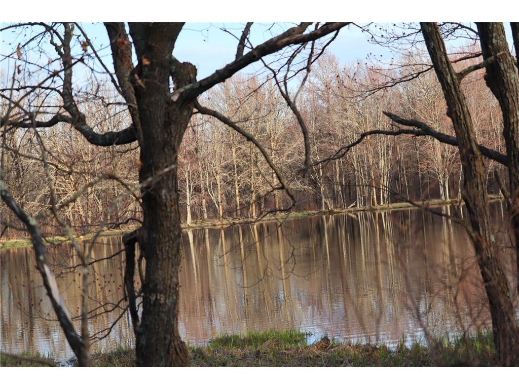 TBD 60th Street SW, Maple Twp, MN, 56472 | MLS: 6748613 | Edina Realty