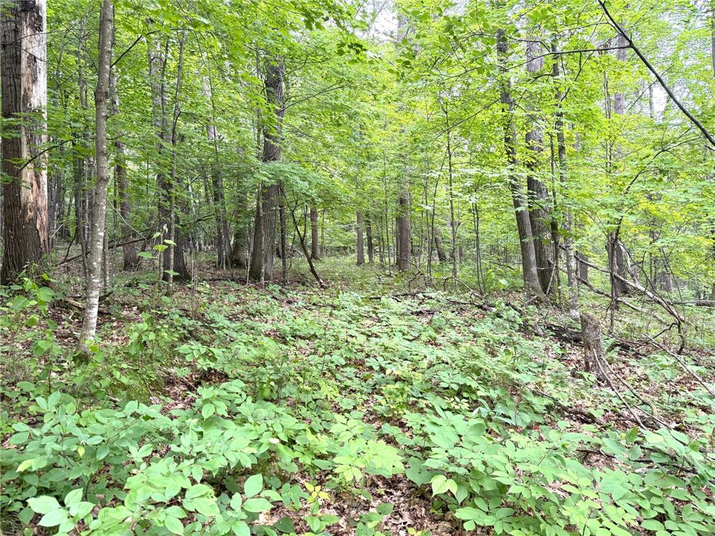 TBD-80AC Vineland RD, Kathio Twp, MN, 56359 | MLS: 6557537 | Edina Realty