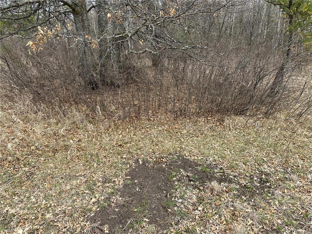 TBD Co Rd 26, Carsonville Twp, MN, 56575 | MLS: 6531952 | Edina Realty